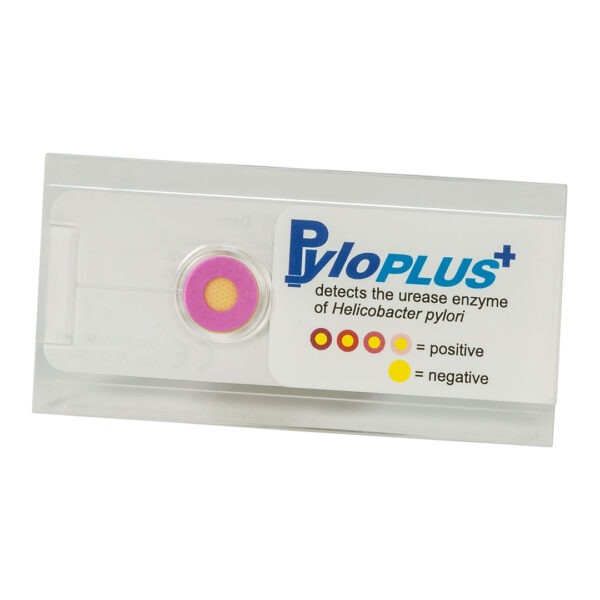 PyloPlus Rapid Urease Test for H.pylori - Laborie
